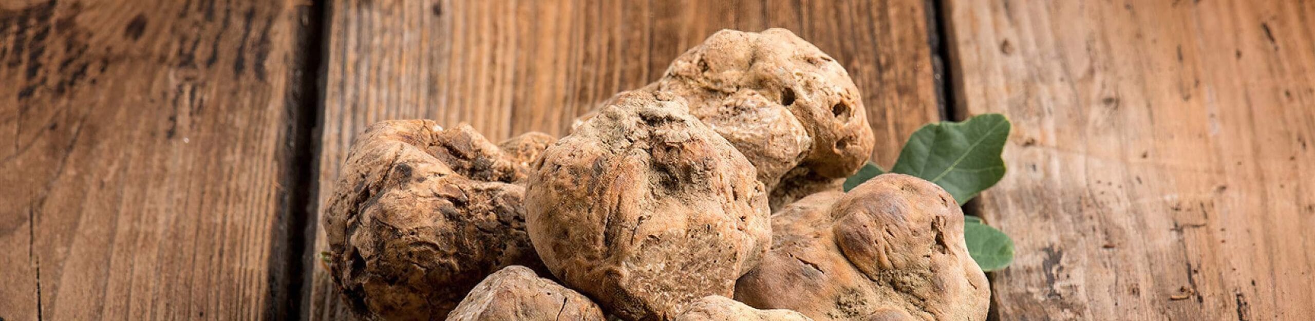 Truffle Olive Oil | Altezza Winery